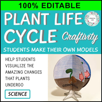 Plant Life Cycle - 3D Model Craft Activity - 100% Editable – Creative Lab