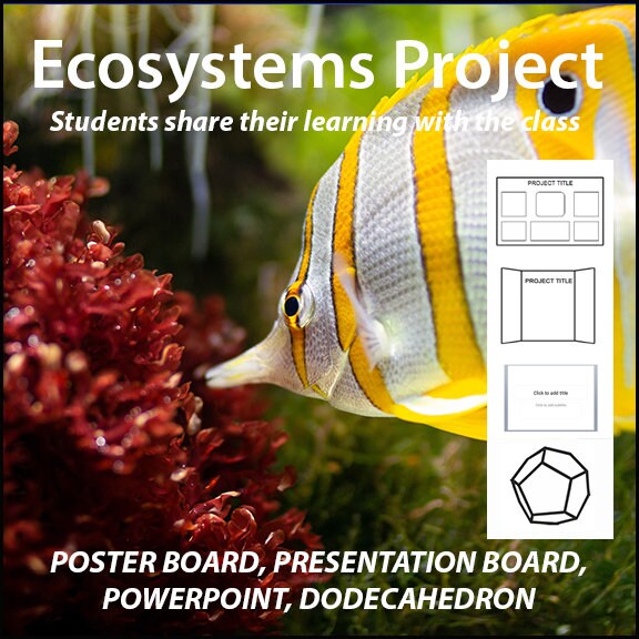 Ecosystems Research Project - PBL - 100% Editable // Printable Teachin ...