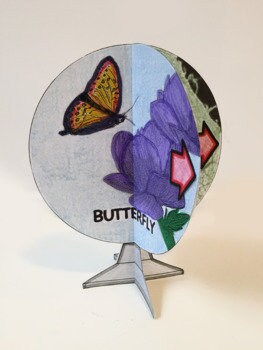 Butterfly Life Cycle - 3D Model Craft Activity - 100% Editable // Prin ...